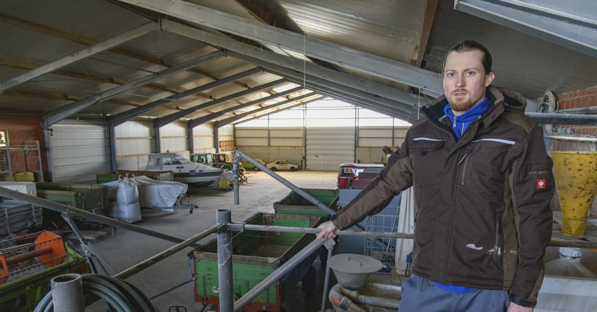 Schweinebauer ringt nach Seuchenausbruch um seine Existenz